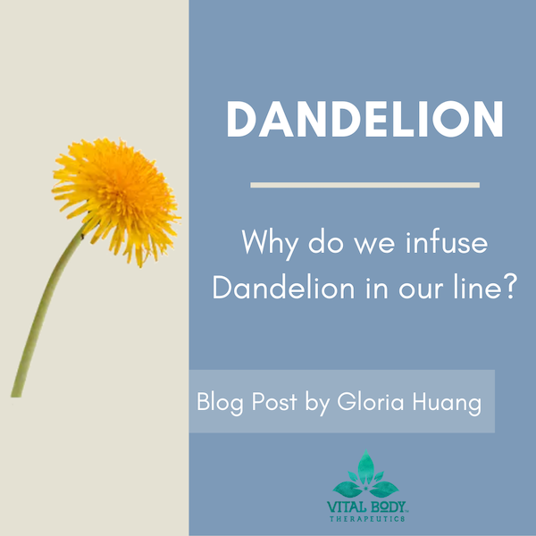 Ingredient Highlights: Dandelion and Its Benefits for the Skin – Vital ...