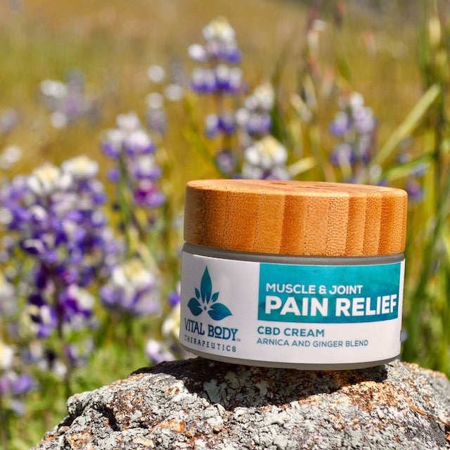 Soaking Up the Sun: CBD Herbal Solar Infusion – Vital Body Therapeutics