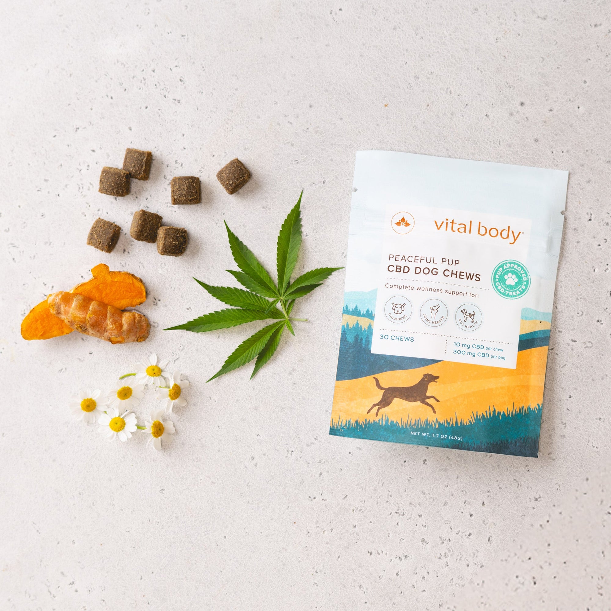 When to use CBD Balm for Pain Management – Vital Body Therapeutics